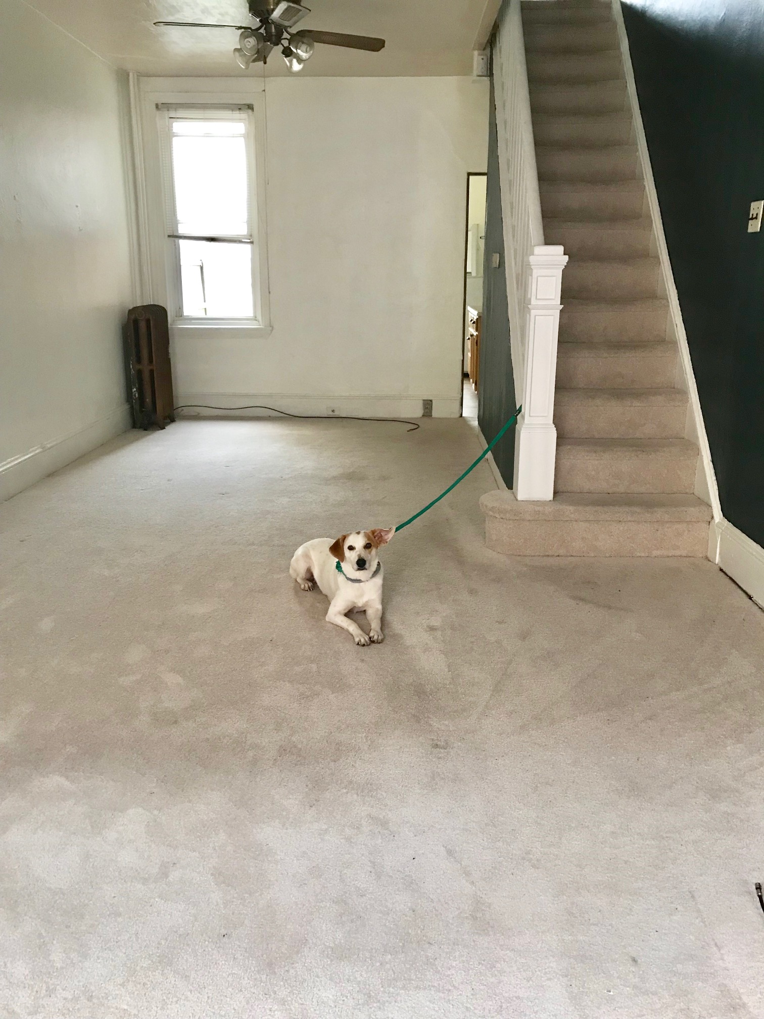 Moving Checklist for a Cross Country Move - Holladays at Home