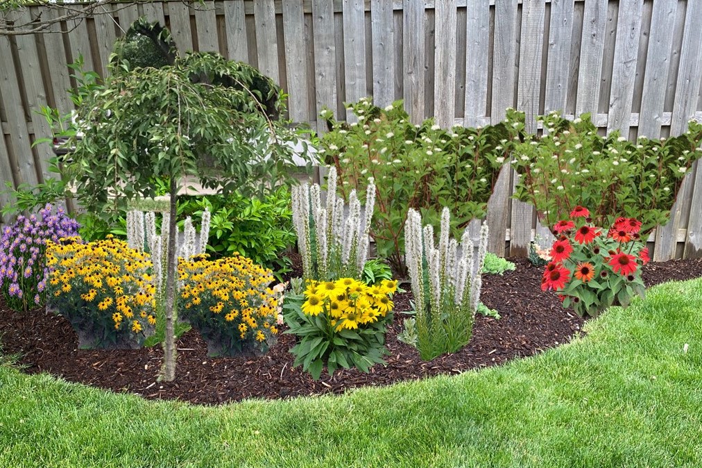 2023 Garden Plans for Zone 5B - Holladays at Home